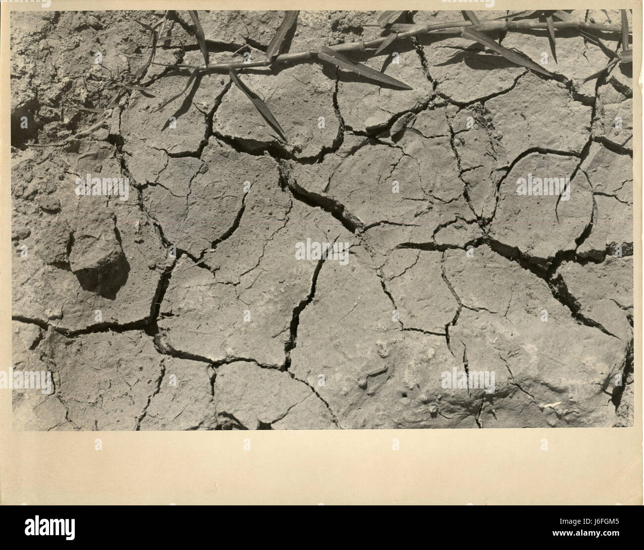 THIS PICTURE IS SHOWING CRACKS IN A DRY GROUND Stock Photo - Alamy