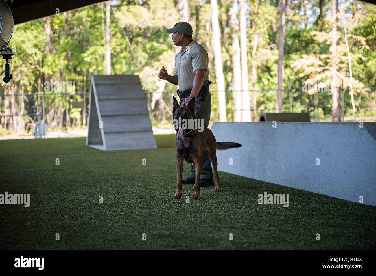 Valdosta Police Department working dog Ssmokey stands by his handler ...