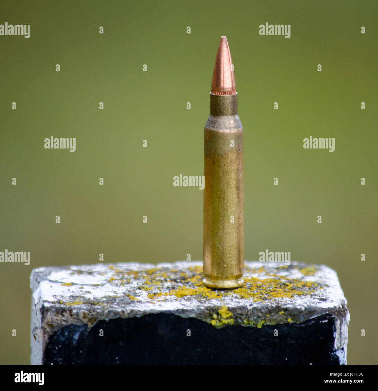 A 5.56x45 mm live round is placed on a firing block at Altcar Training ...