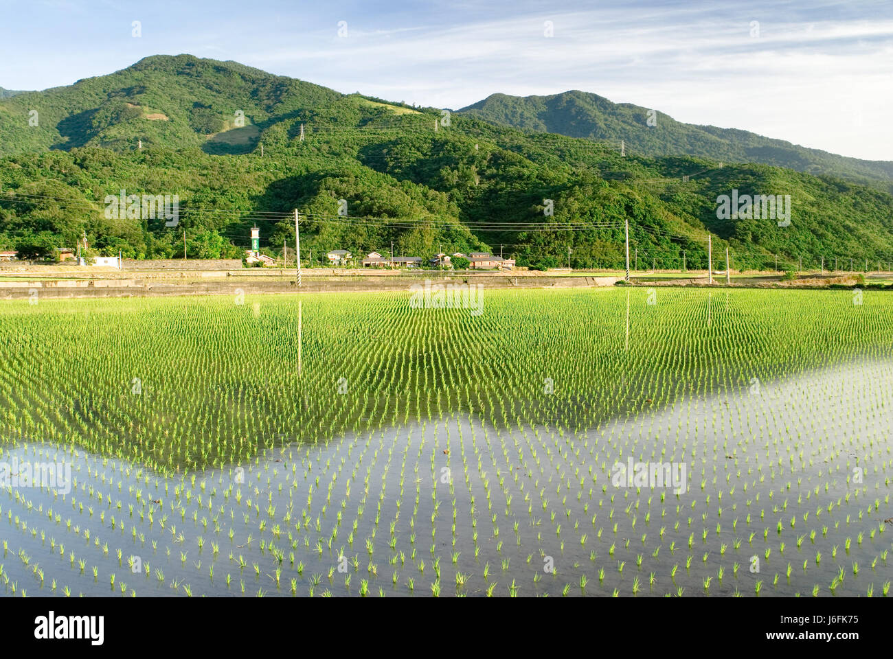 beautiful beauteously nice farm color lawn green backdrop background ...