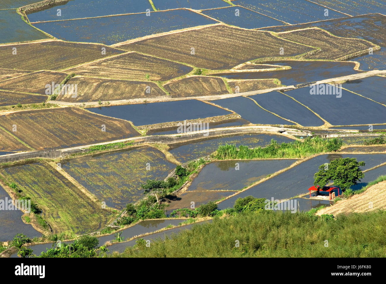 beautiful beauteously nice farm color lawn green backdrop background ...