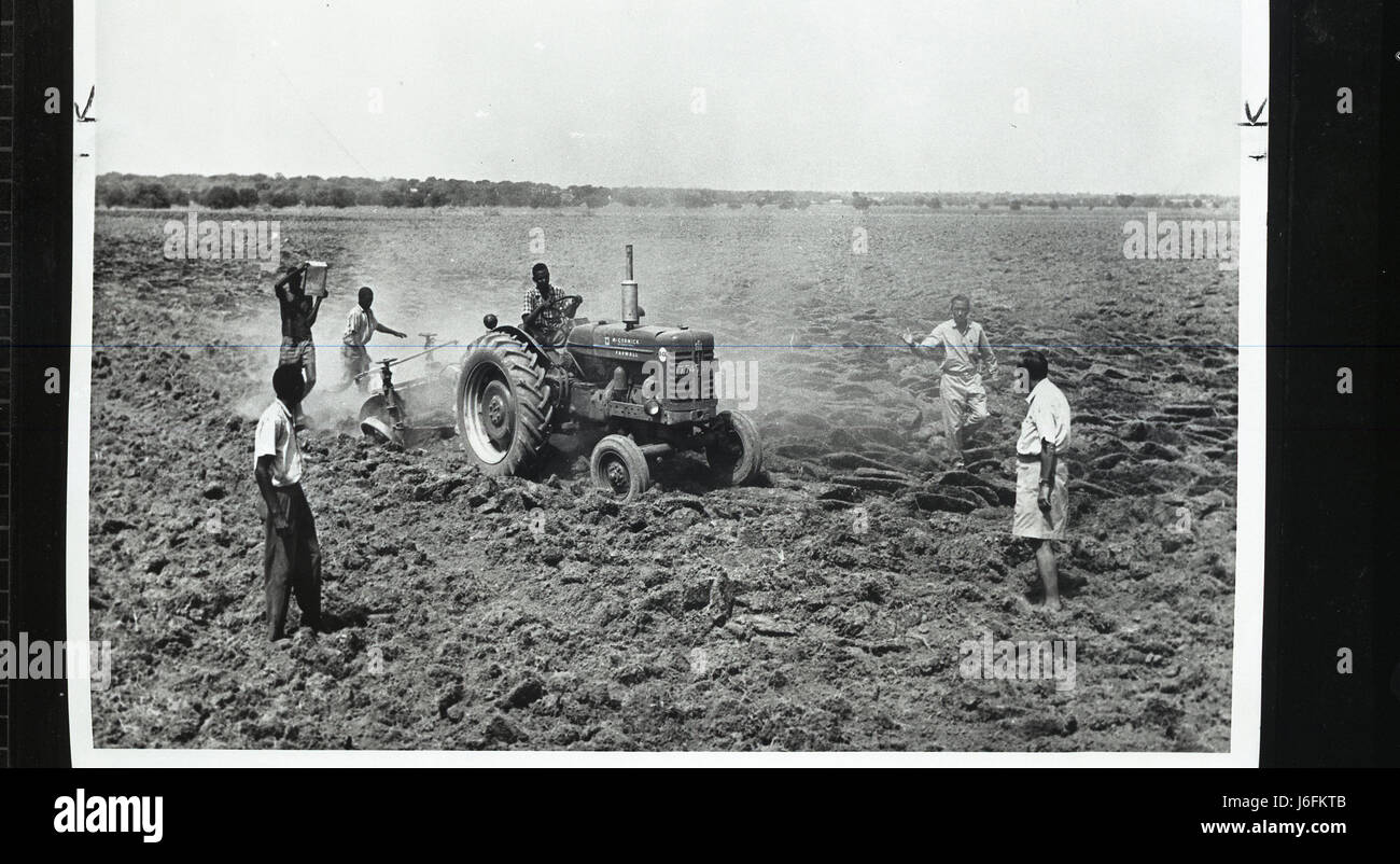 A GROUP OF MEN WORKING IN THE FIELD Stock Photo - Alamy