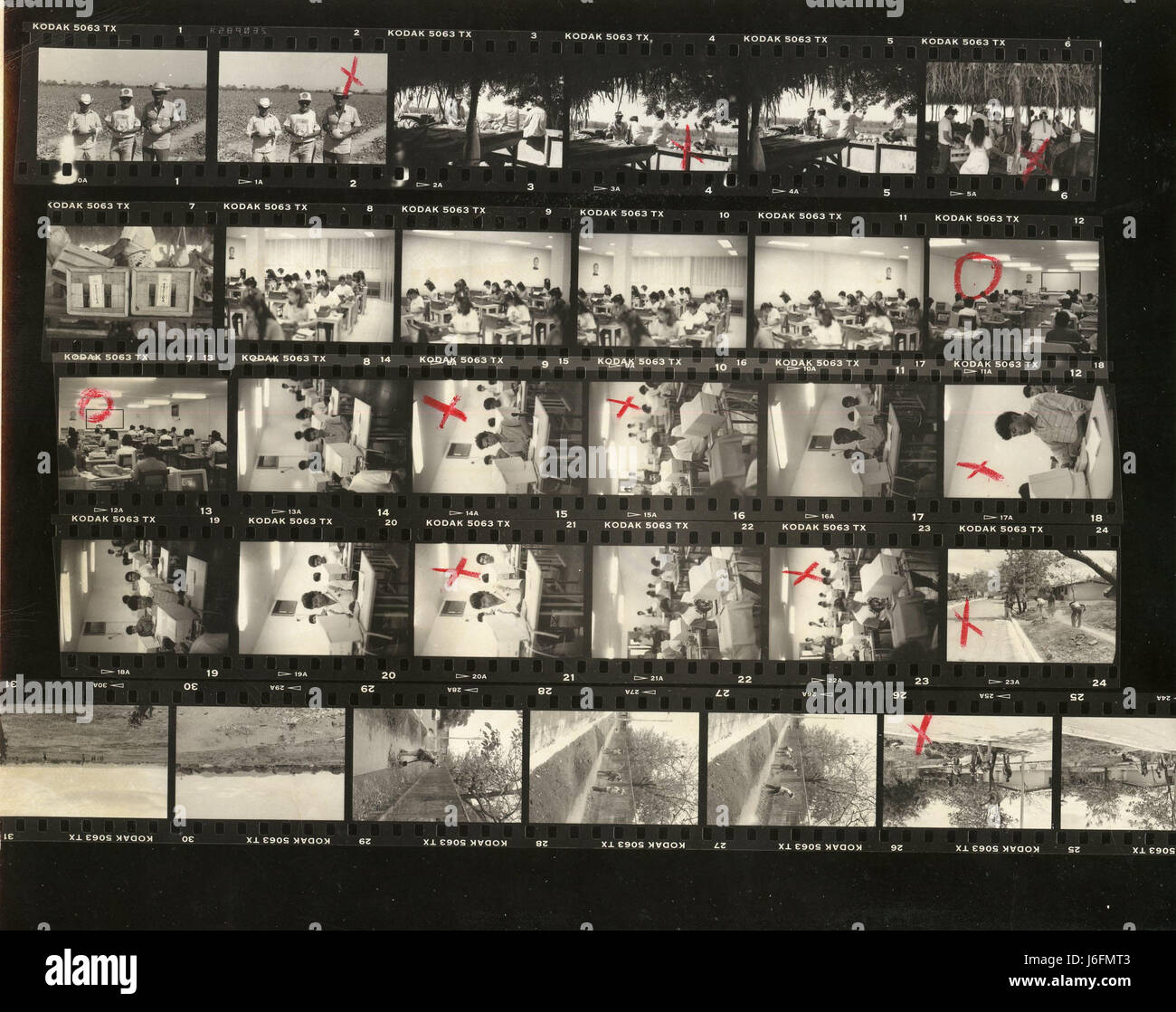 5 negative slides Stock Photo - Alamy