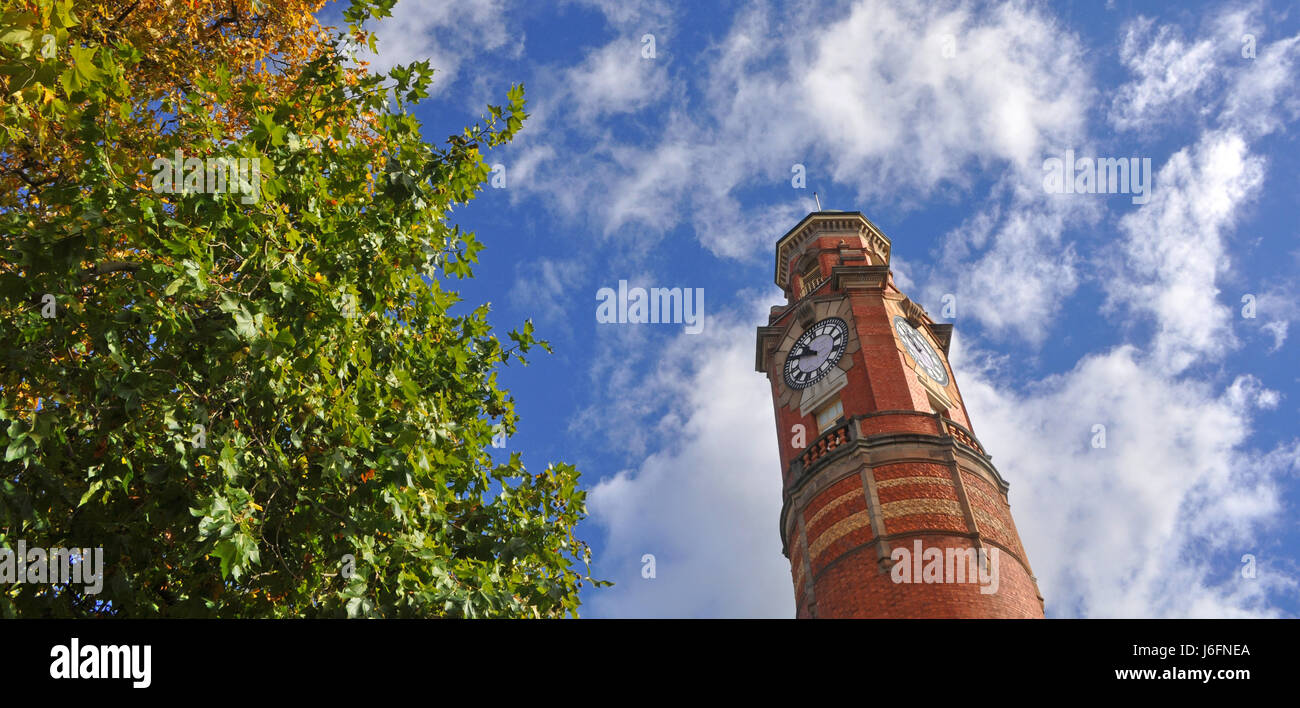 tower clock autumn foliage clock tower fall autumn blue tower leaves ...