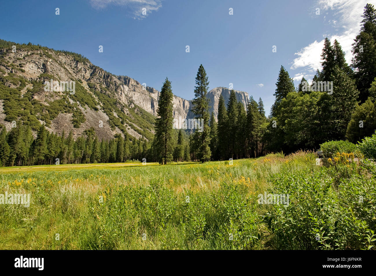 mountains usa sightseeing california meadow nature blue famous ...
