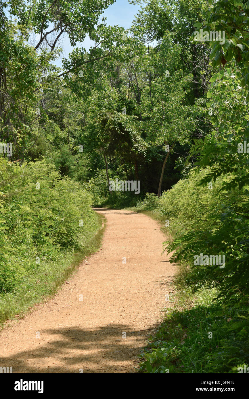 A path into the unknown under a sunny blue sky Stock Photo - Alamy