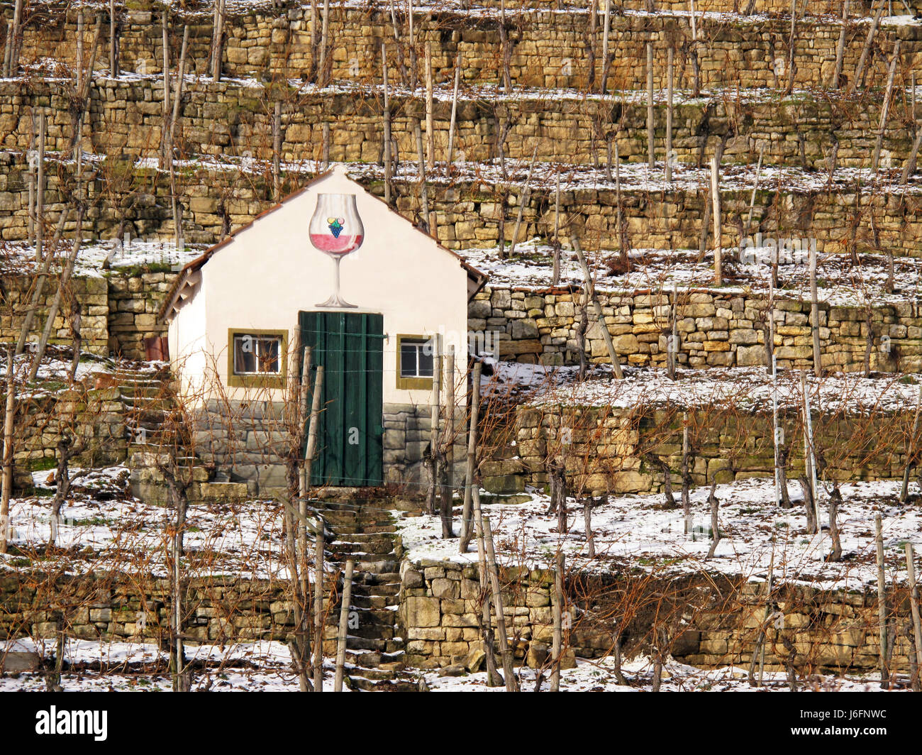 stairs house building wall vineyard stuttgart snow vine grape vine ...