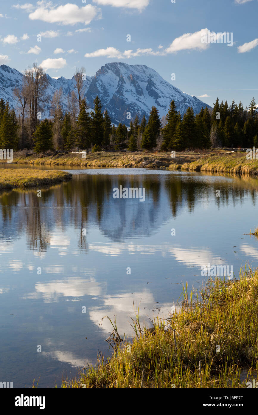 Quotmount Moran On Snake River Grand Teton National Park