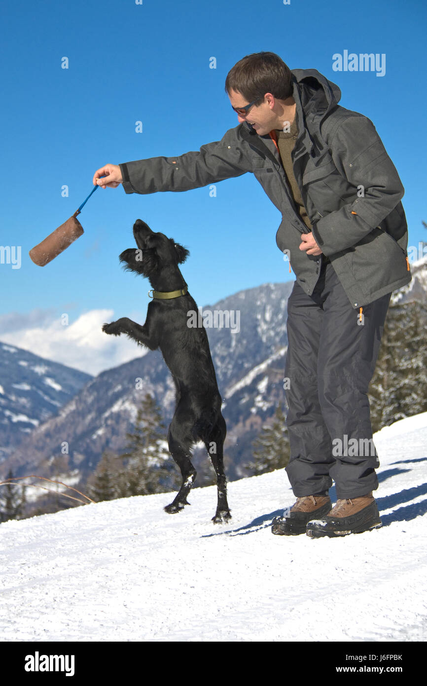 Dog chase man hi-res stock photography and images - Alamy