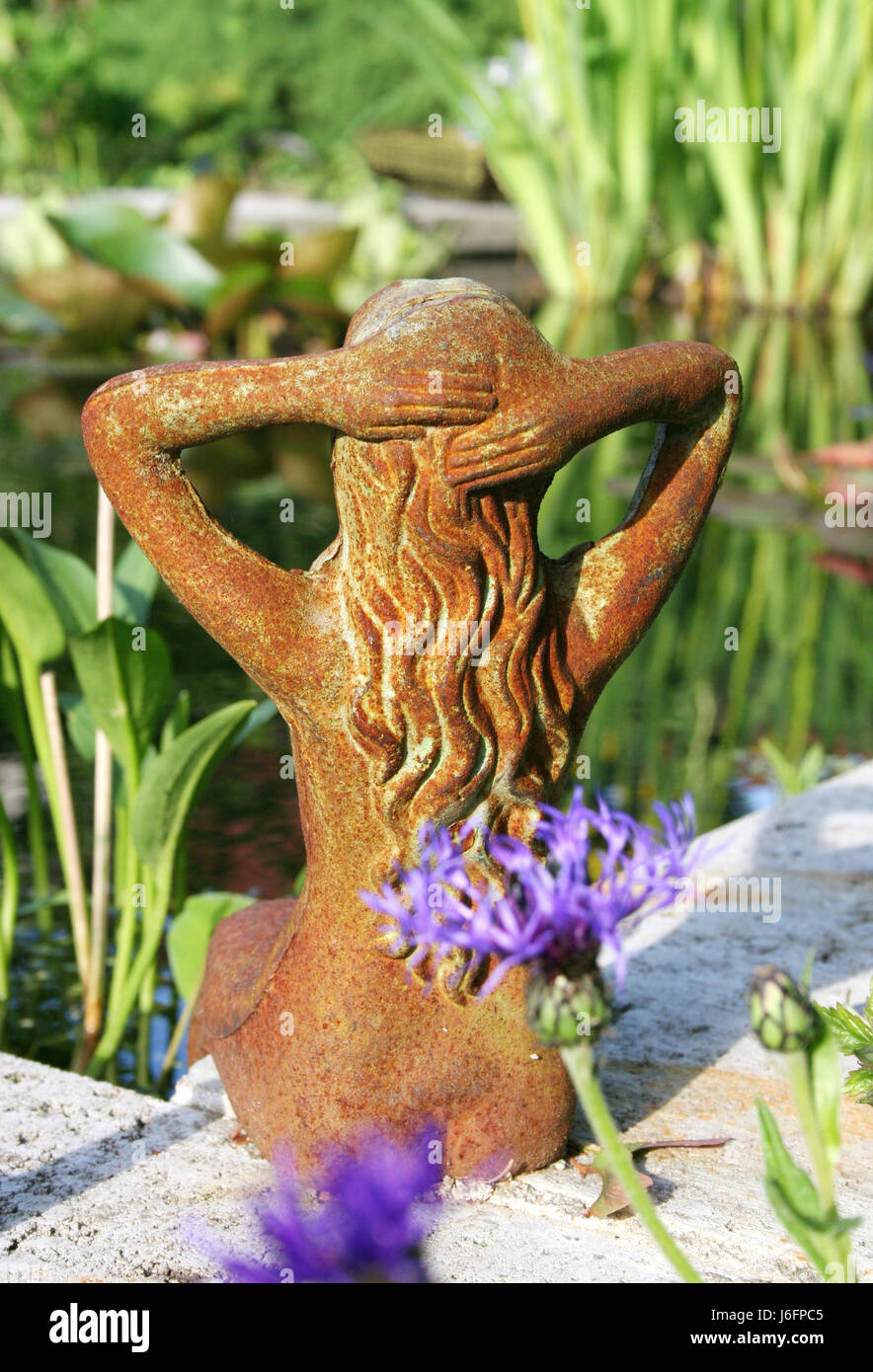 garden summer summerly spring fresh water pond water mermaid gardens ...