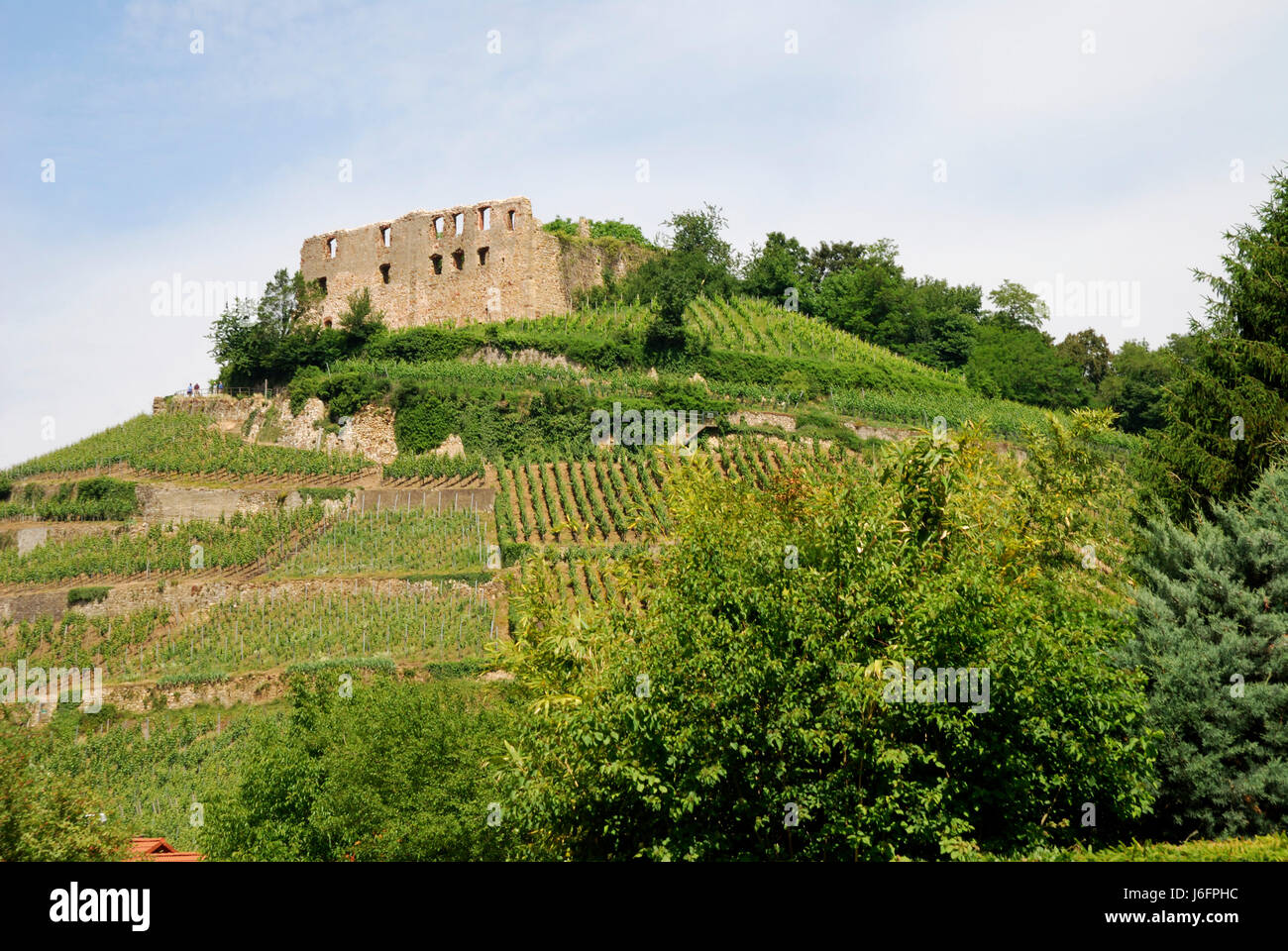 hill vineyard germany german federal republic ruin medieval wineyard ...