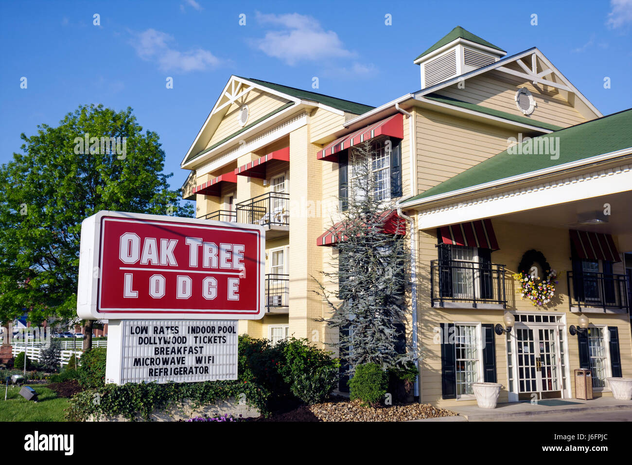 Oak tree logo hi-res stock photography and images - Alamy
