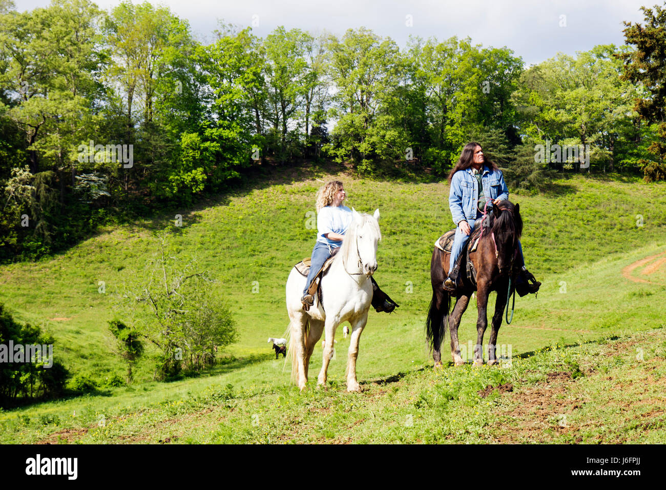 Sevierville Tennessee,Smoky Mountains,Five Oaks Riding Stables ...