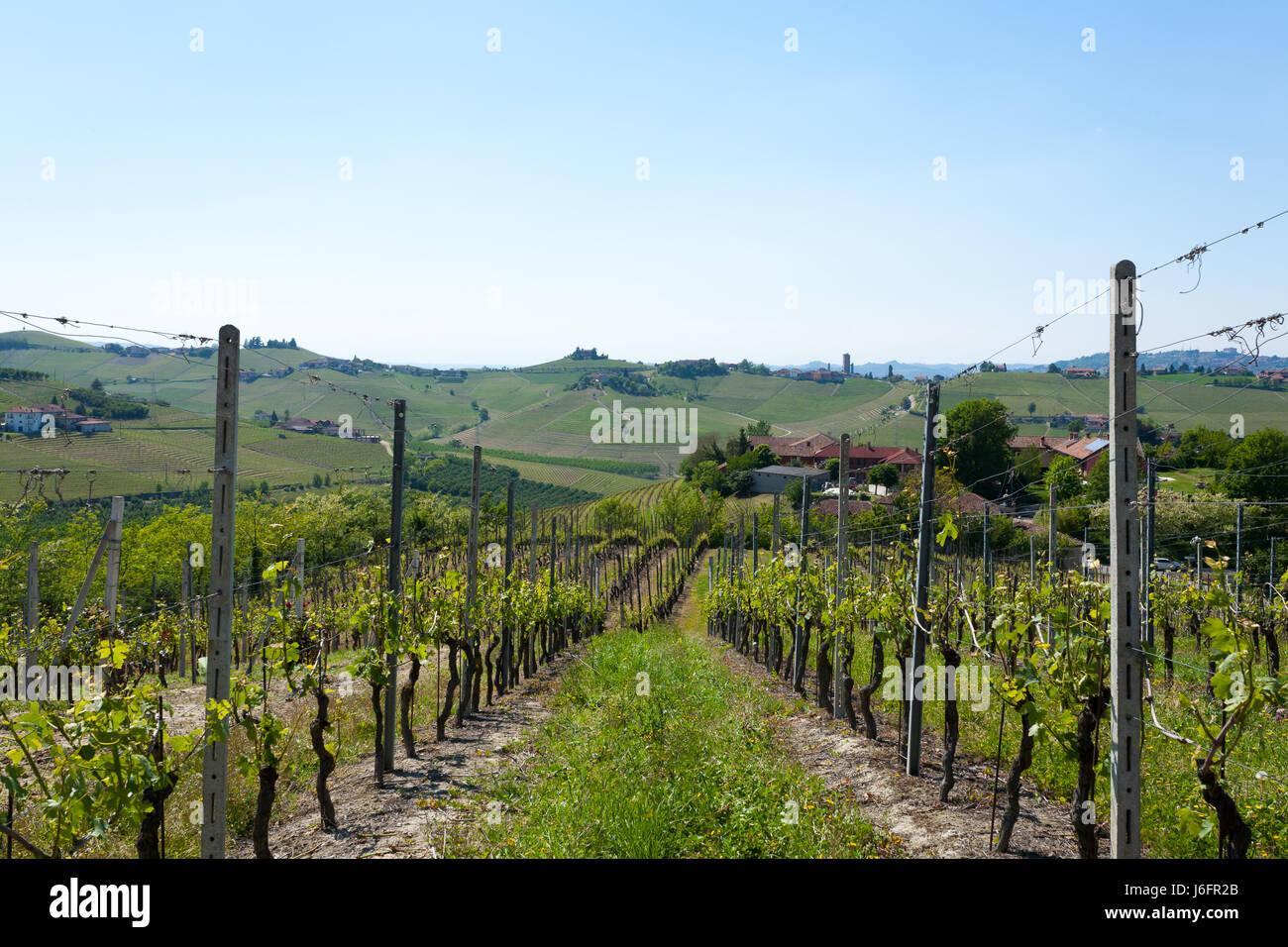 Beautiful Italian landscape. Vineyards from Langhe region,Italy ...