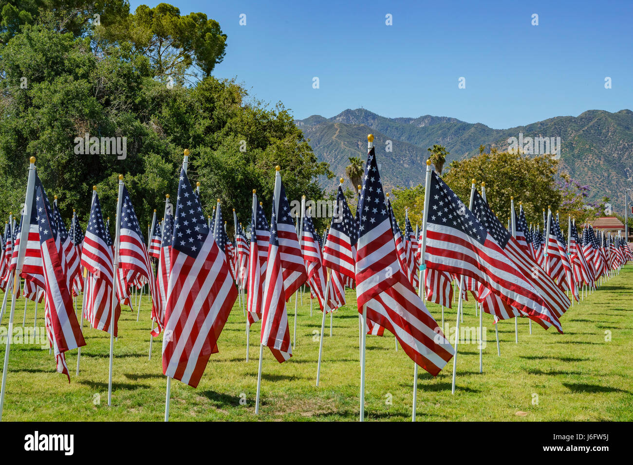 Memorial america flags hi-res stock photography and images - Alamy
