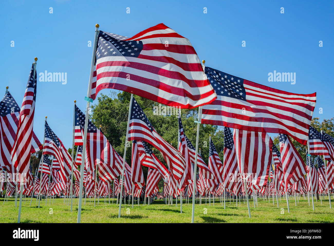 Sunny morning view of Sea of America Flags Stock Photo - Alamy