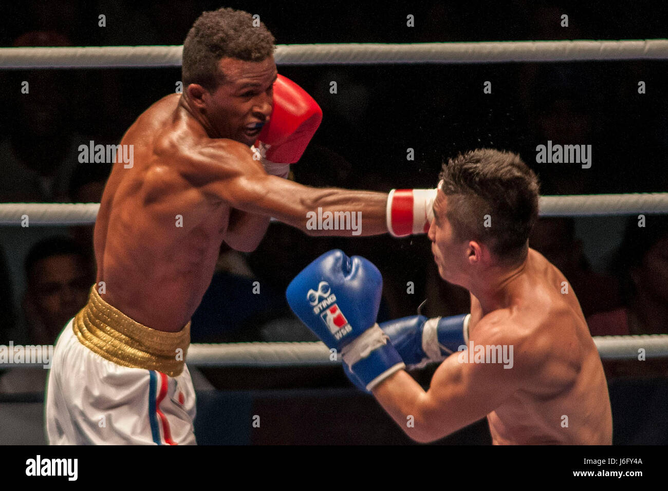 Havana, Cuba. 19th May, 2017. Cuban boxer Julio Lazaro Alvarez (L ...