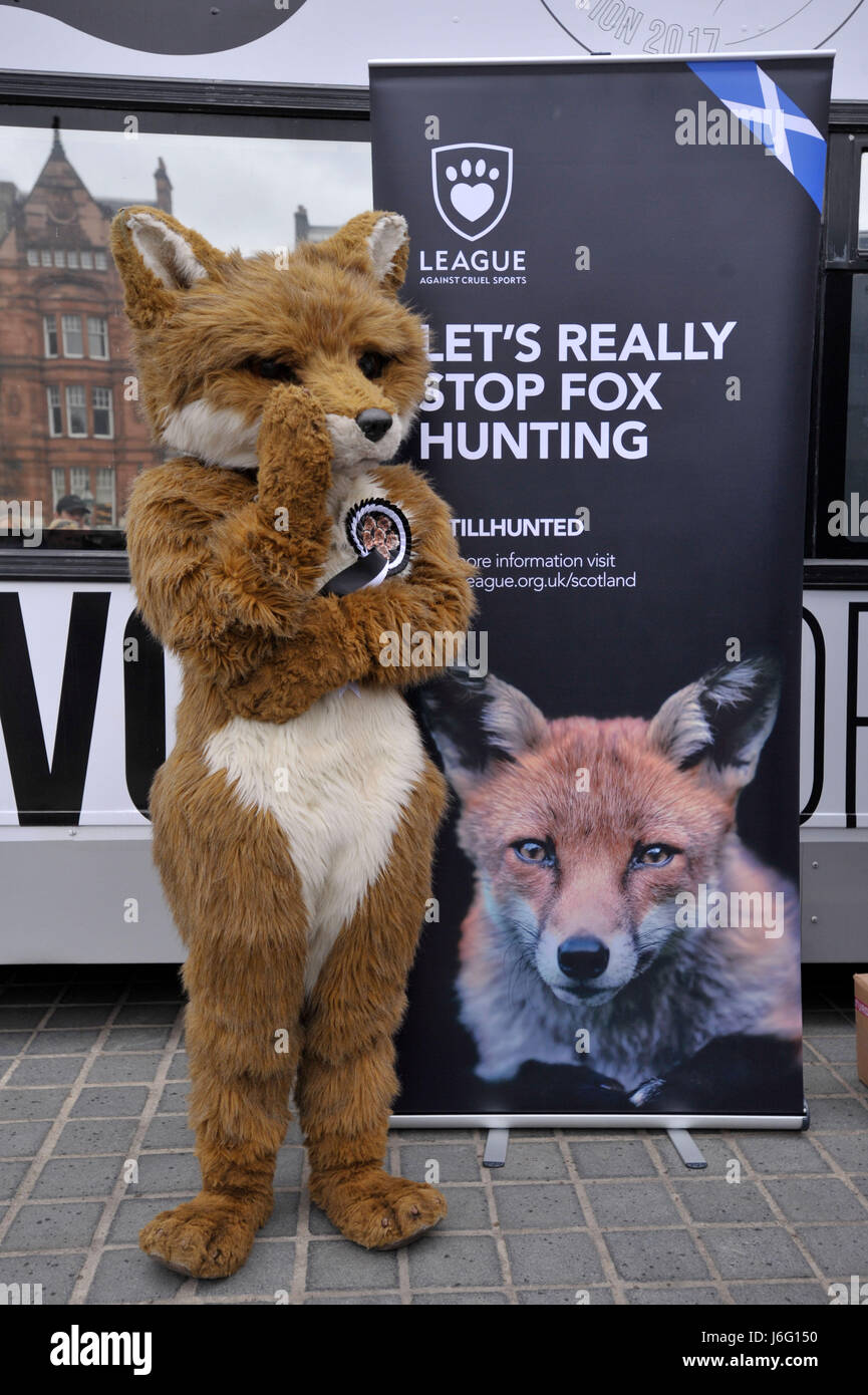 Anti Fox Hunting High Resolution Stock Photography and Images - Alamy