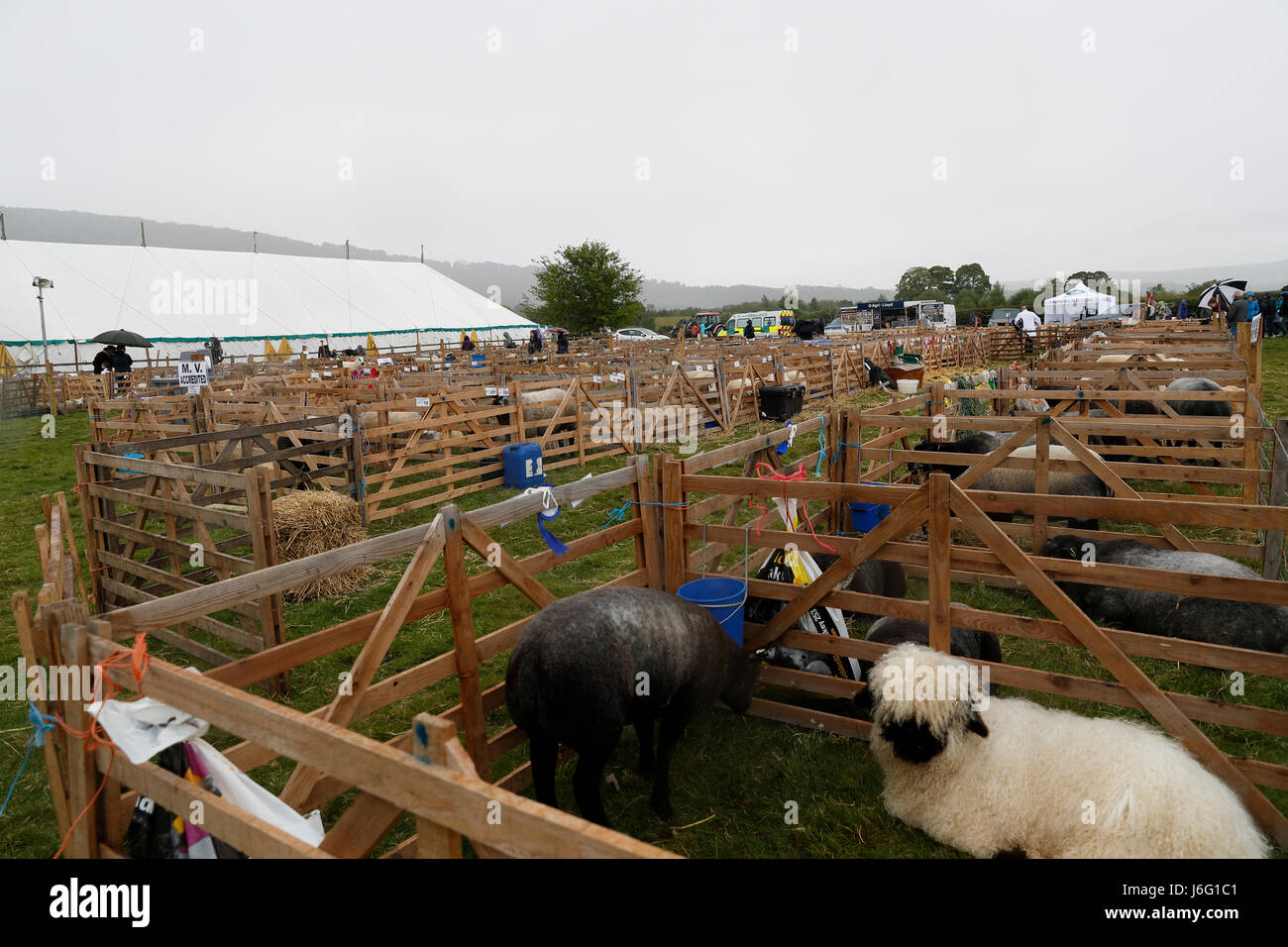 What to see at otley show hi-res stock photography and images - Alamy