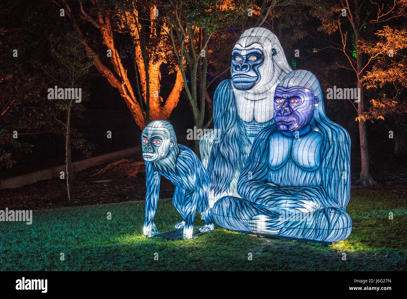 Sydney, Australia - 21st May 2017: Media Preview for the Vivid Sydney ...