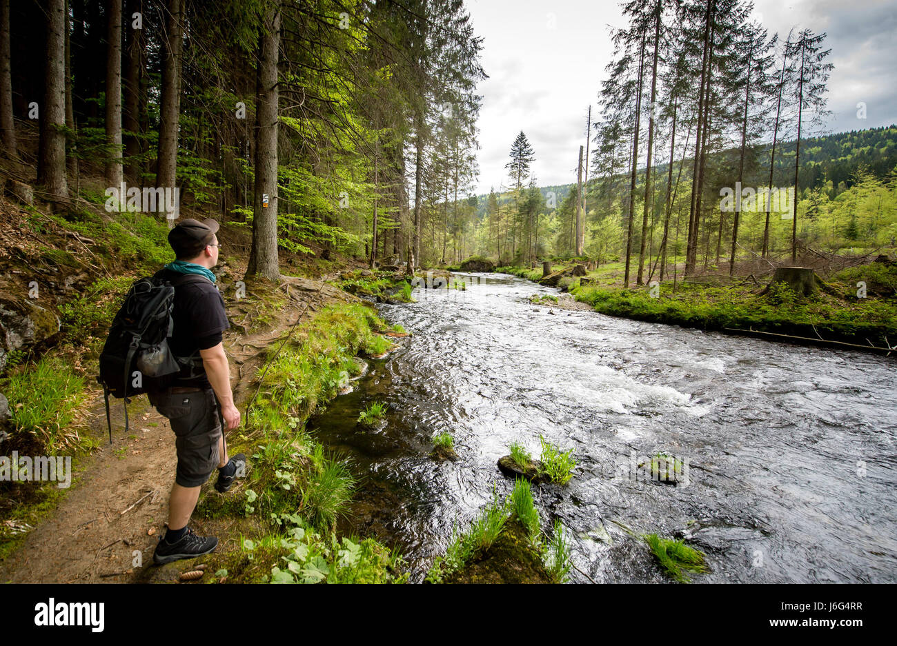 Zwiesel bavarian forest national park hi-res stock photography and ...