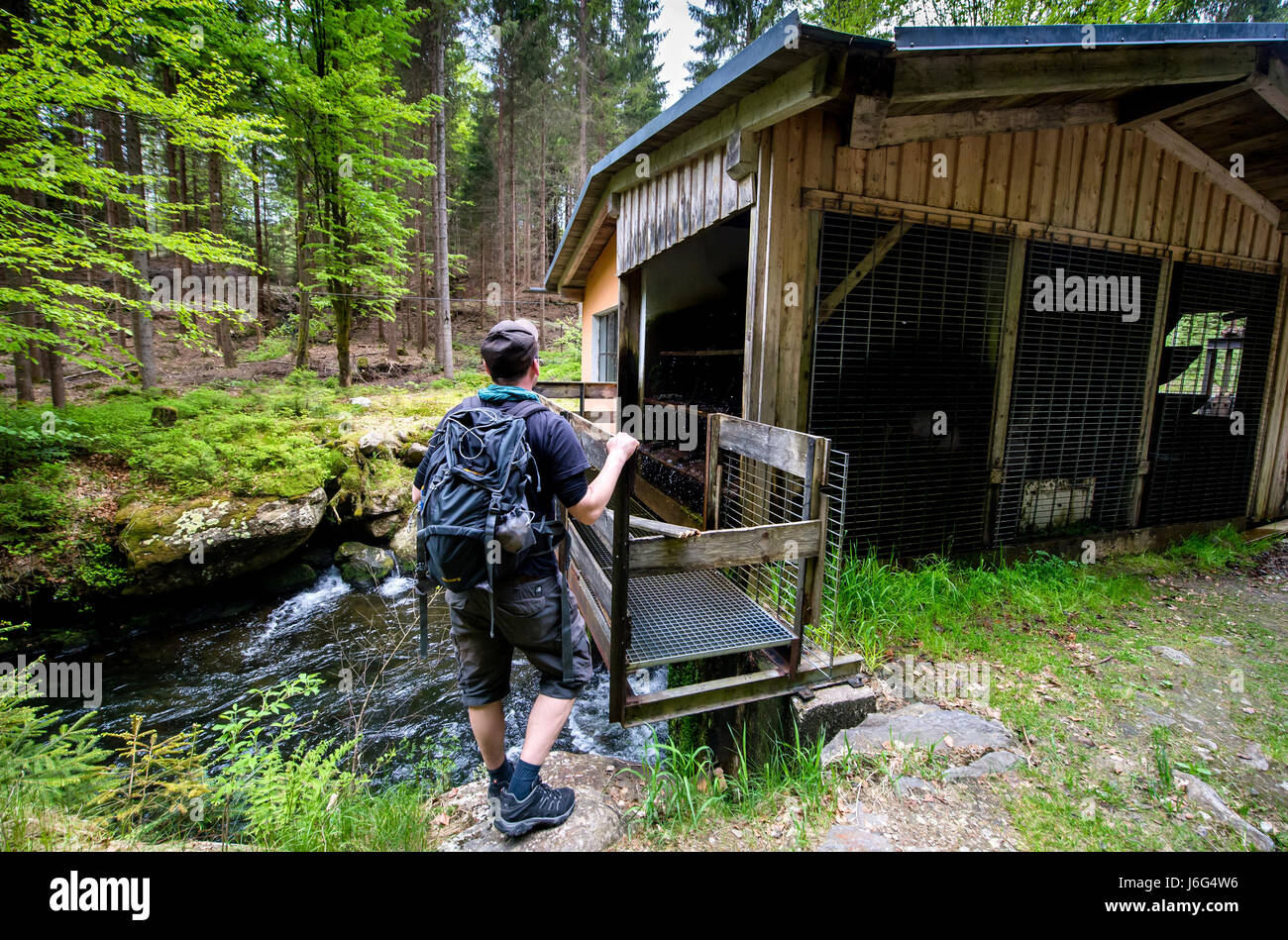 Zwiesel at regen river hi-res stock photography and images - Alamy