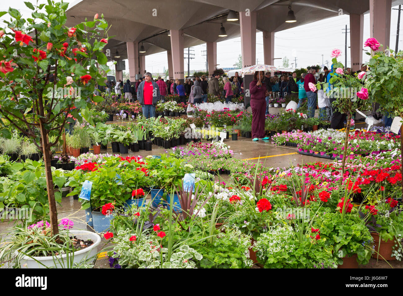 Detroit, Michigan USA - 21 May 2017 - Thousands crowd Eastern Market ...