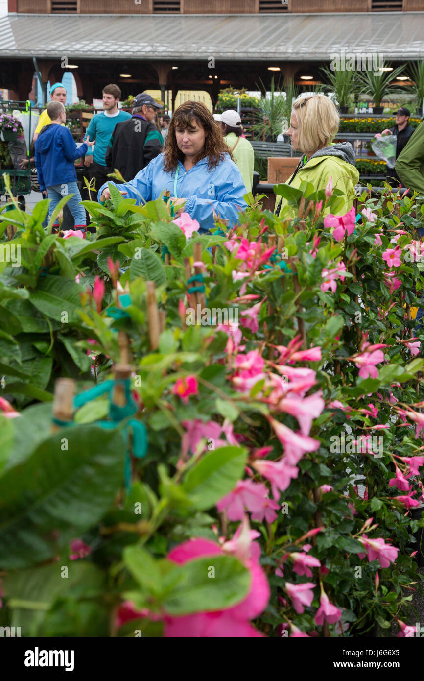 Detroit, Michigan USA - 21 May 2017 - Thousands crowd Eastern Market ...