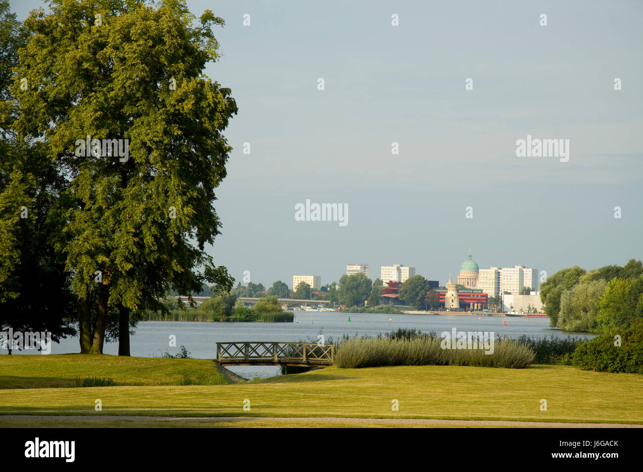 city town tree trees park potsdam city town tree park plant bridge ...