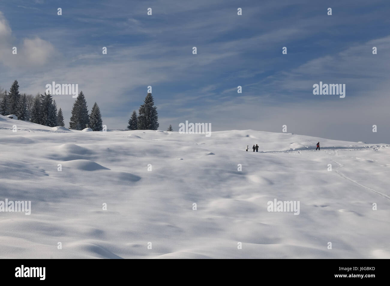 humans human beings people folk persons human human being alps bavaria ...