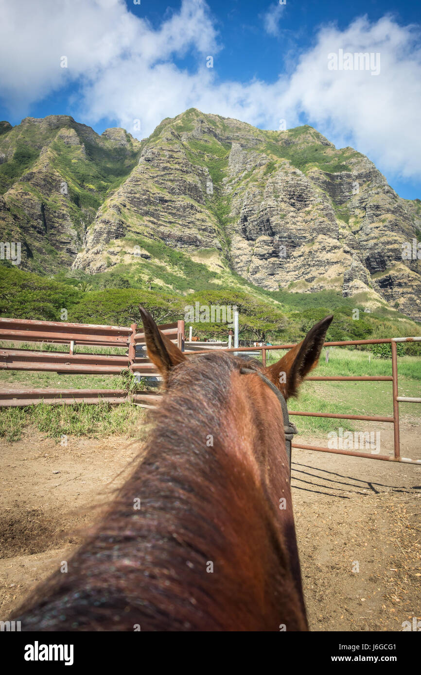 First person perspective hi-res stock photography and images - Alamy