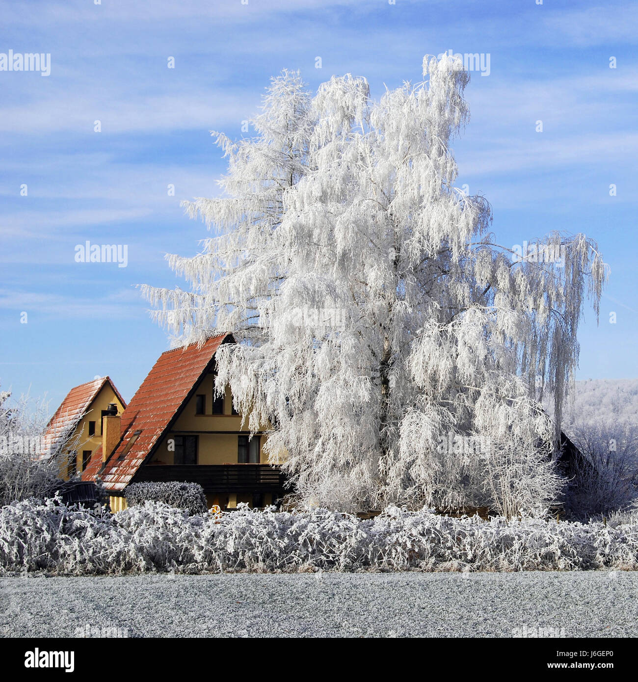 house building tree trees winter ice frost snow house building tree ...