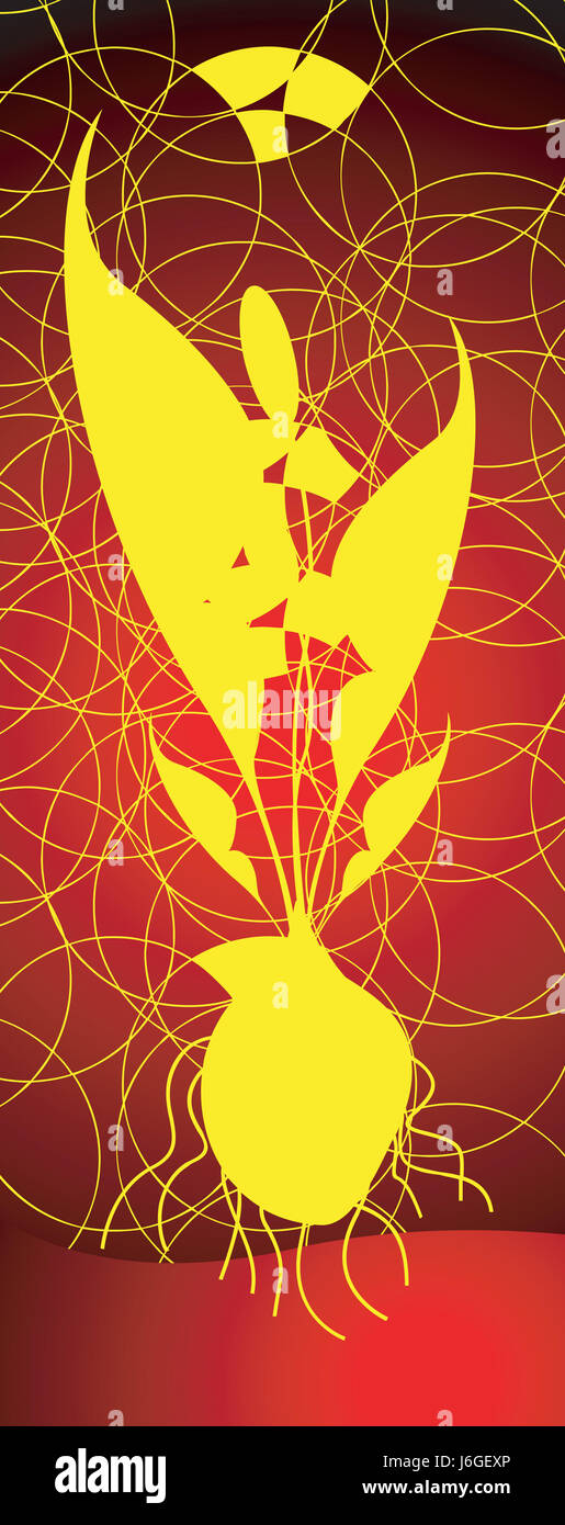 agricultural stalk stem seed seasonal plant leaf illustration farm ...