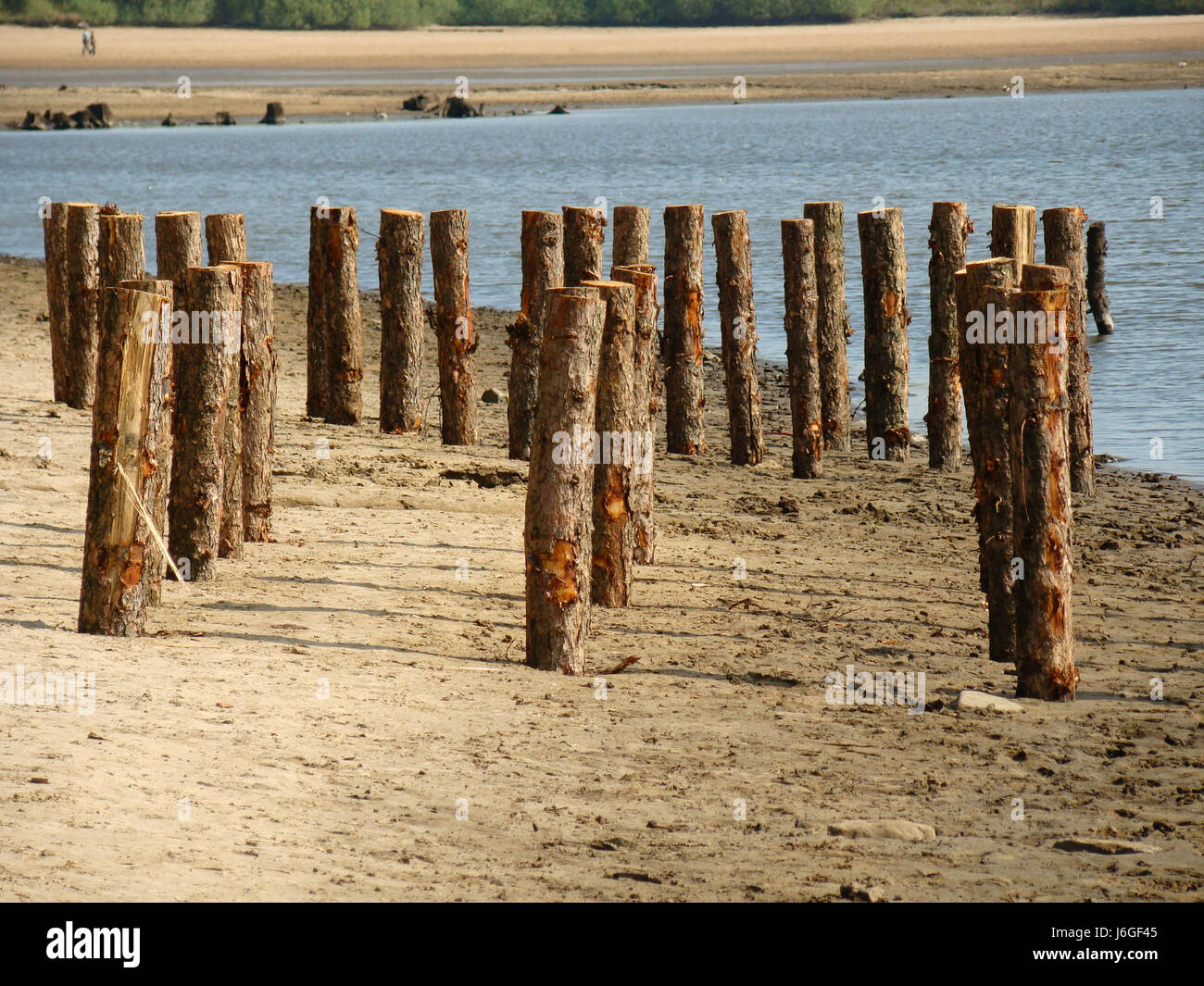 tribes dam salt water sea ocean water sands sand nature walk go going ...