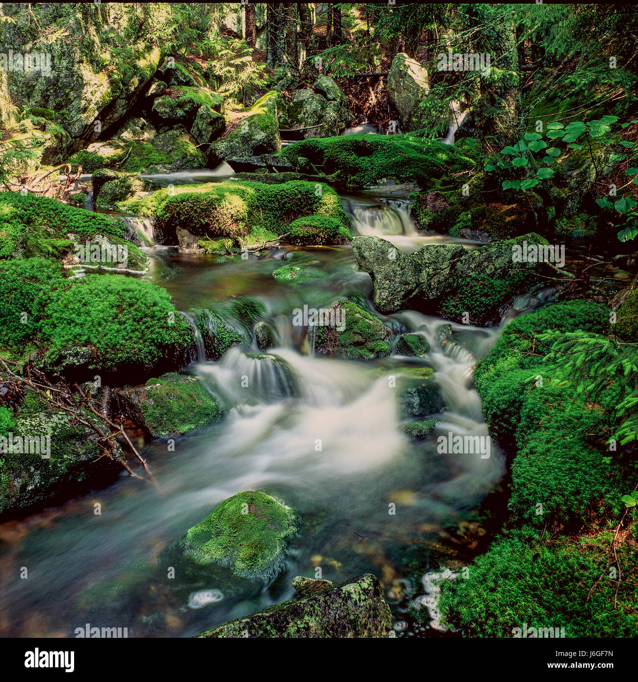 Mossy Brook in the Monadnock Region of southern New Hampshire Stock ...