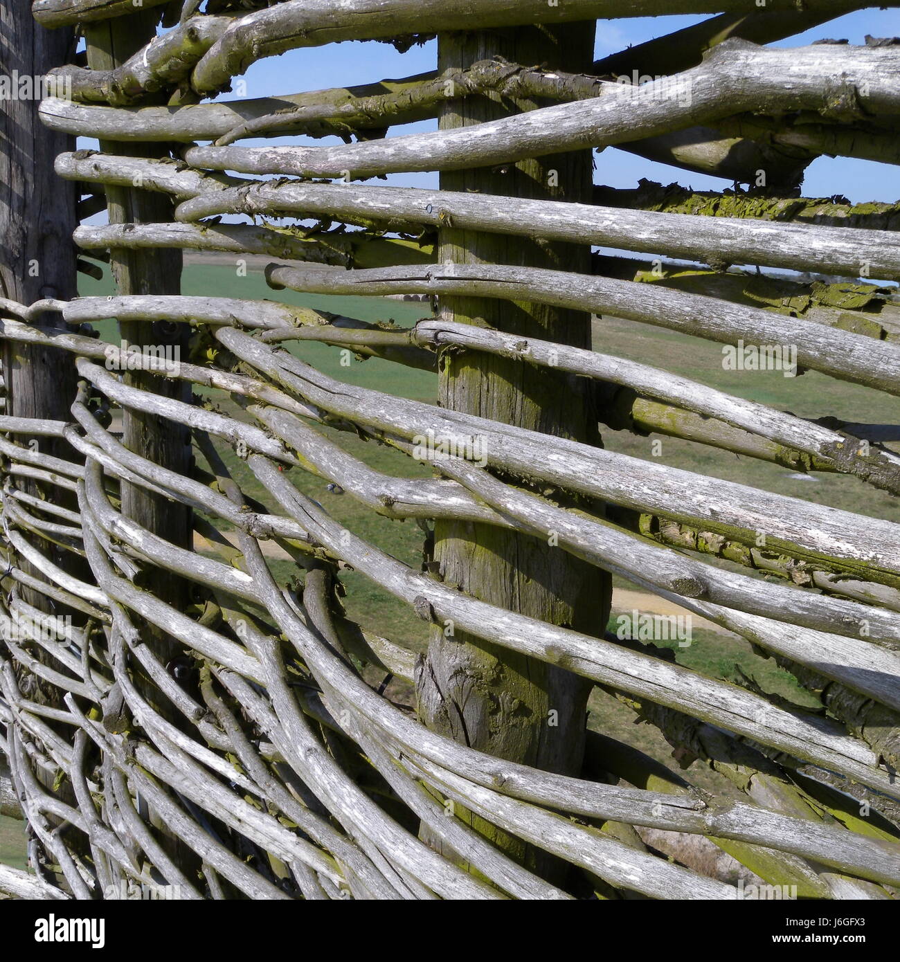 tribes fence delimitation silver-grey wattling rods tribes fence ...