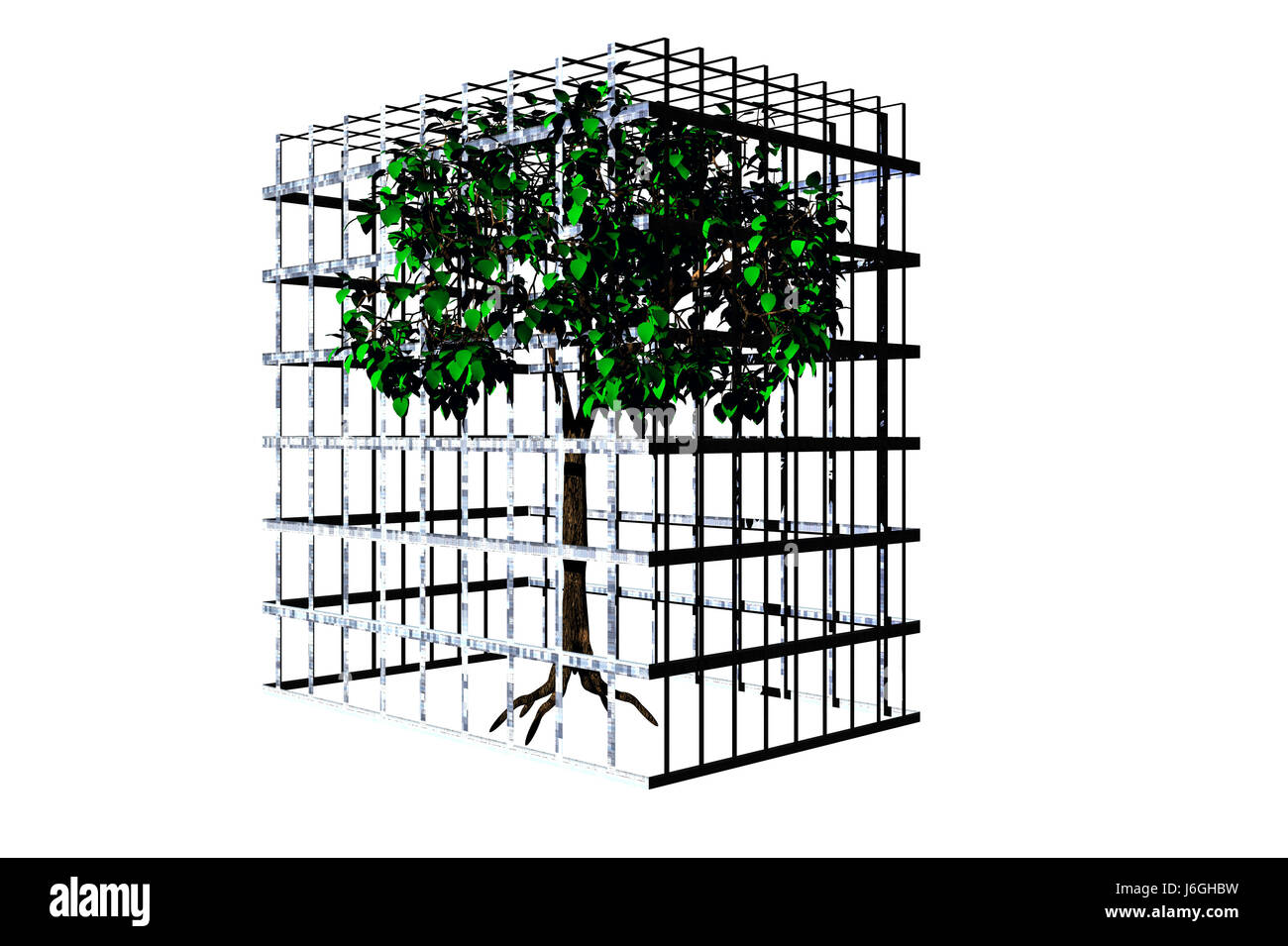 tree protect protection environmental protection cage contactor caged ...