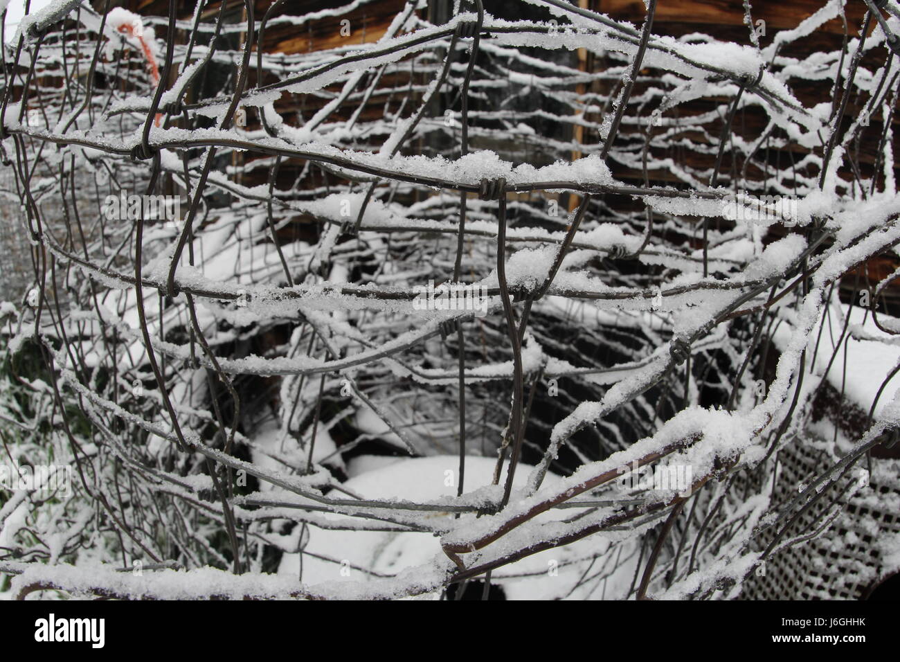 Metal wire fencing spring hi-res stock photography and images - Alamy