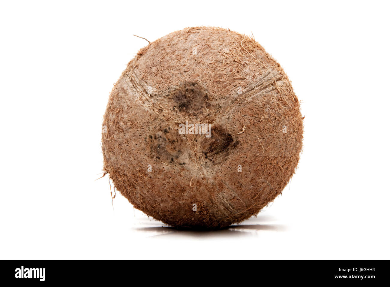 Coconut fibres hi-res stock photography and images - Alamy