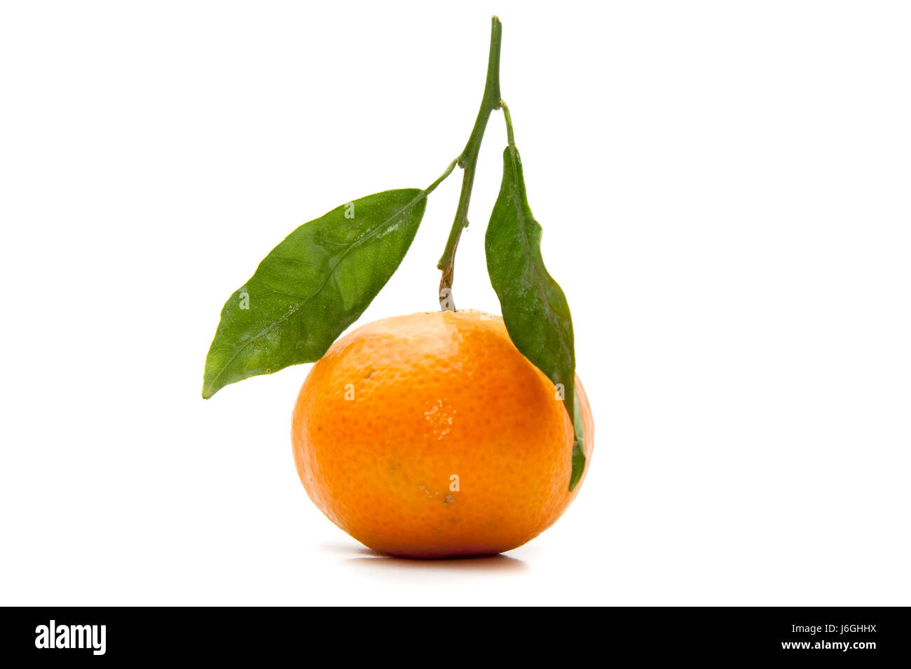 orange optional fruit stalk stem tangerine page sheet apart extra ...