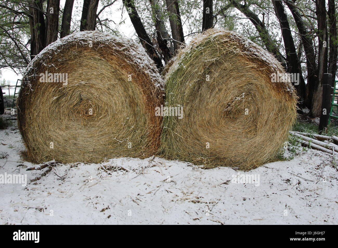 Hail bails hi-res stock photography and images - Alamy