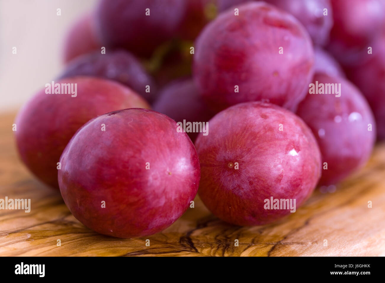 pome fruit berries viticulture grapes vine grape vine grape-vine grape ...