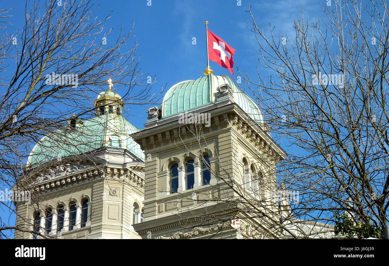 switzerland capital flag bern blue tree trees switzerland branches ...