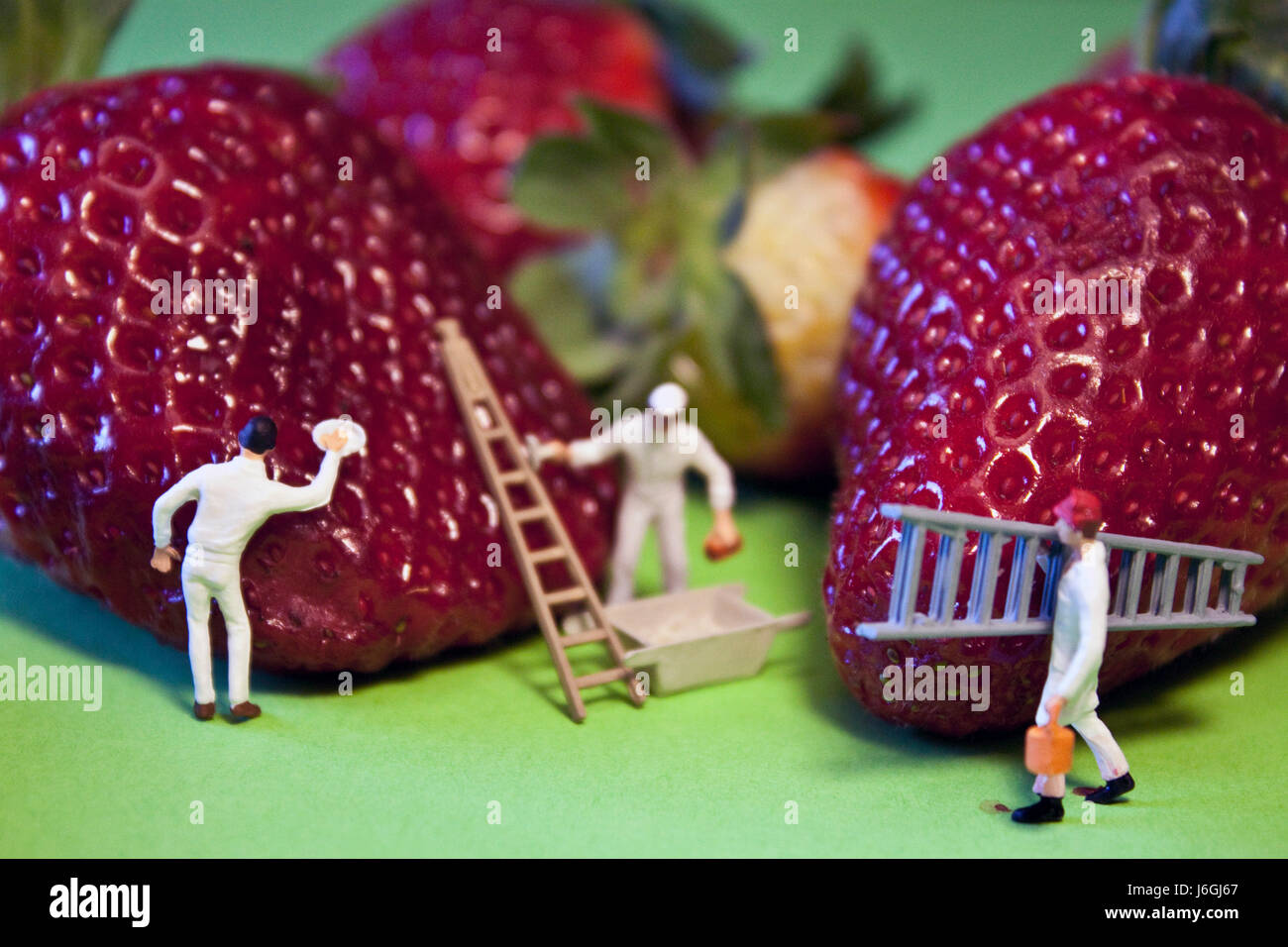 summer summerly fruit strawberry to buff ladder red strawberries ...