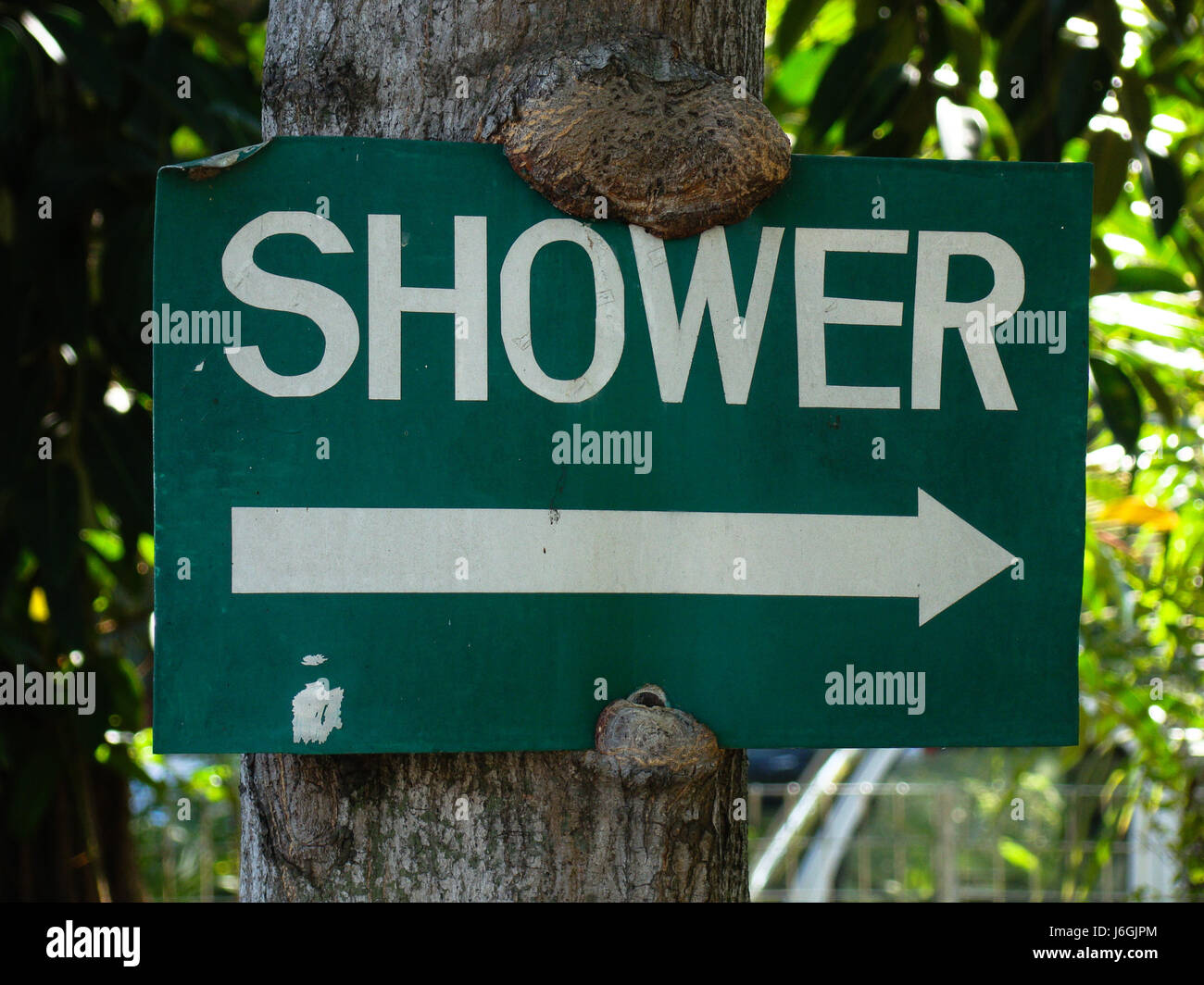 tree with how to shower Stock Photo - Alamy