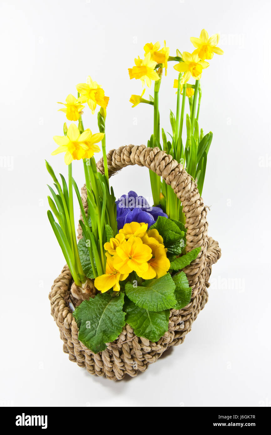 basket of flowers Stock Photo - Alamy