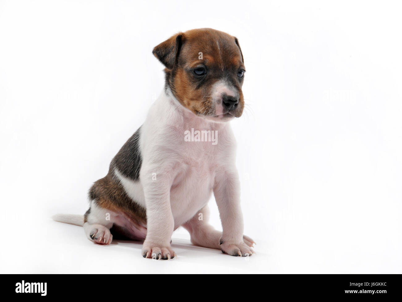 Jack and box hi-res stock photography and images - Alamy