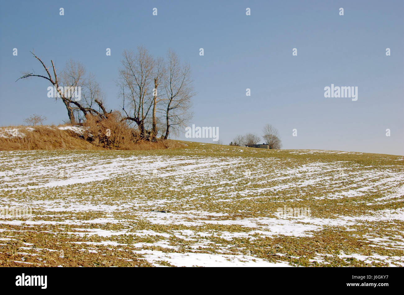 blue tree hill field spring globe planet earth world firmament sky blue ...