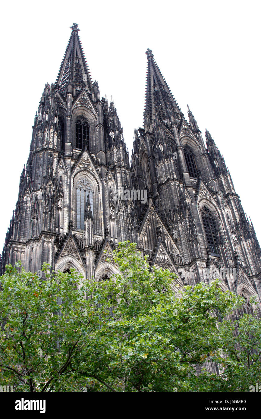 church tree cologne cathedral worms eye tower architectural historical ...