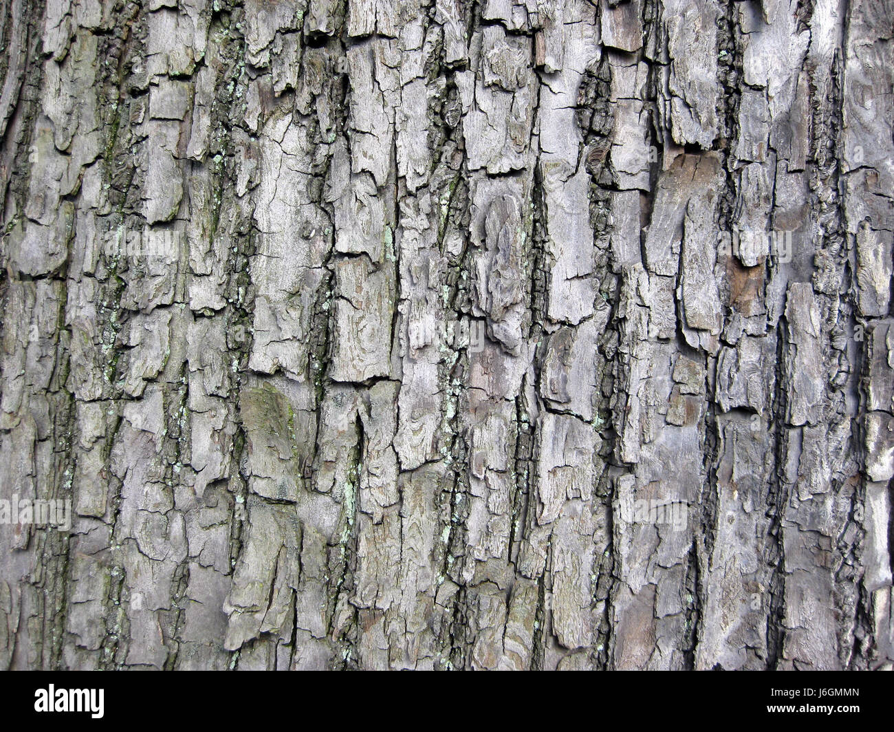 Object admission hi-res stock photography and images - Alamy